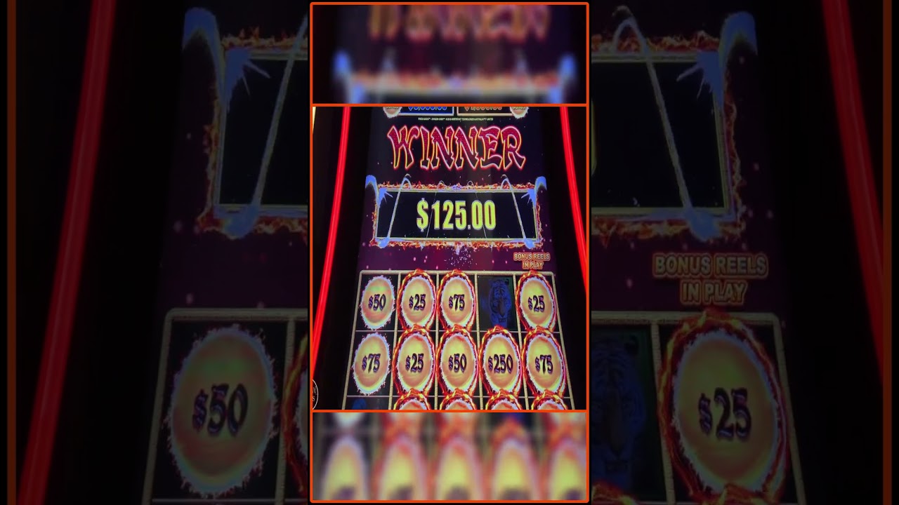 Big Win In The High Limit Dragon Link Scatter Jackpot | High Rrollers Play