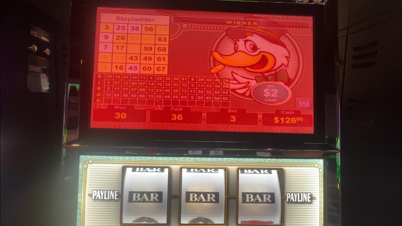 Big Win For Lucky Ducky And Polar High Roller! Let's Break The Losing Streak! | High Rrollers Play