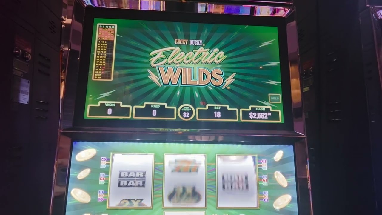 Polar High Roller And Lucky Ducky: Big Win And Redscreens. | High ...